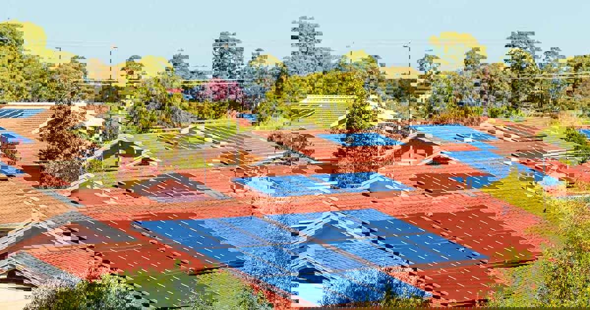 Labor pledges 30% off the price of batteries in bid to slash energy bills